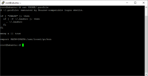How to Install Go on Linux - Golang Docs
