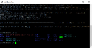 How to Install Go on Linux - Golang Docs