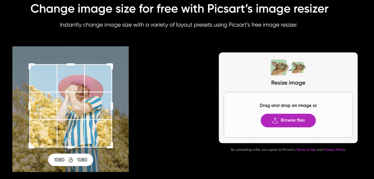 How to Resize Images in Javascript: A 2024 Guide - Golang Docs